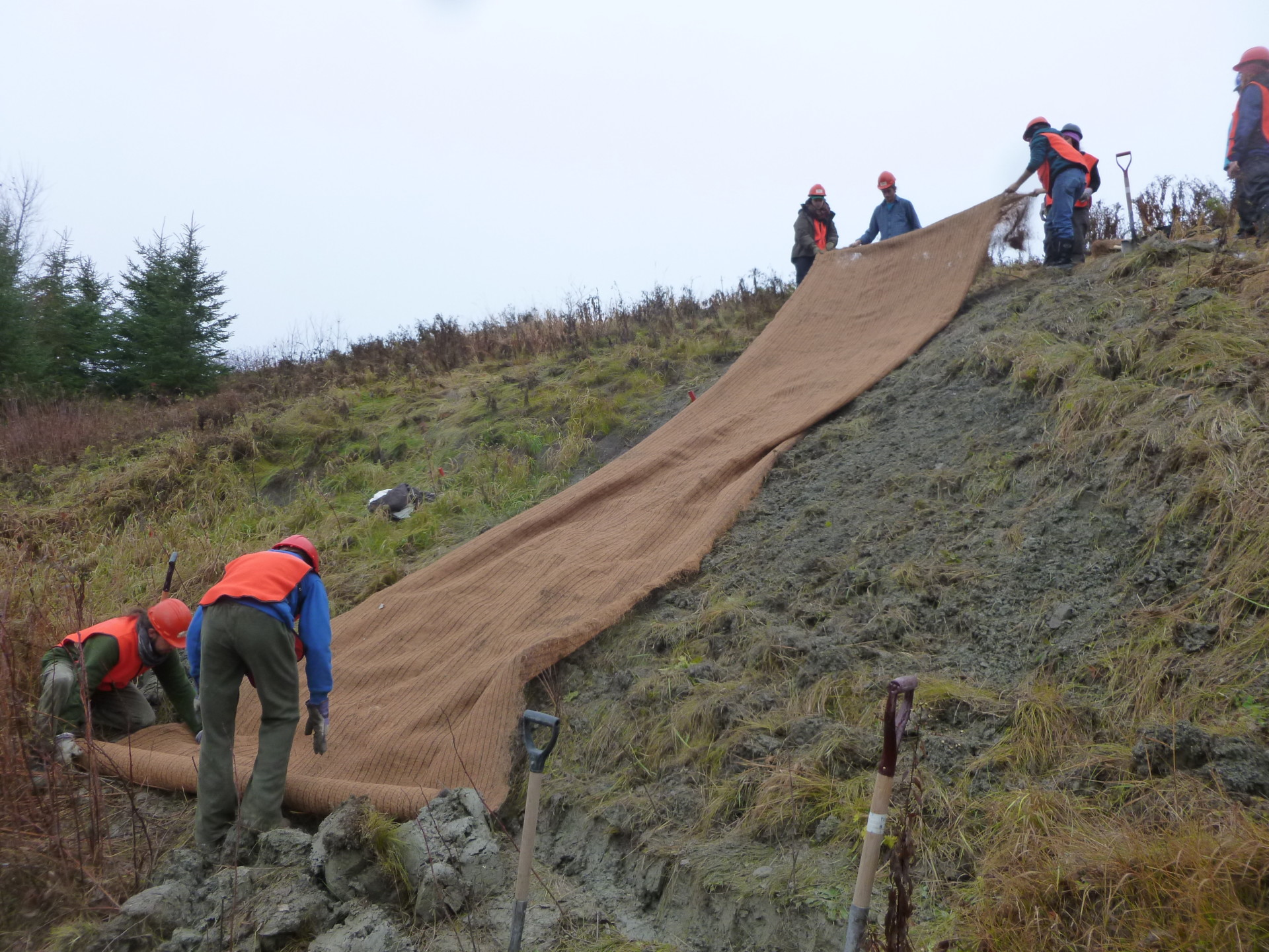 Stabilisation et revégétalisation d'une berge érodée du ruisseau ...